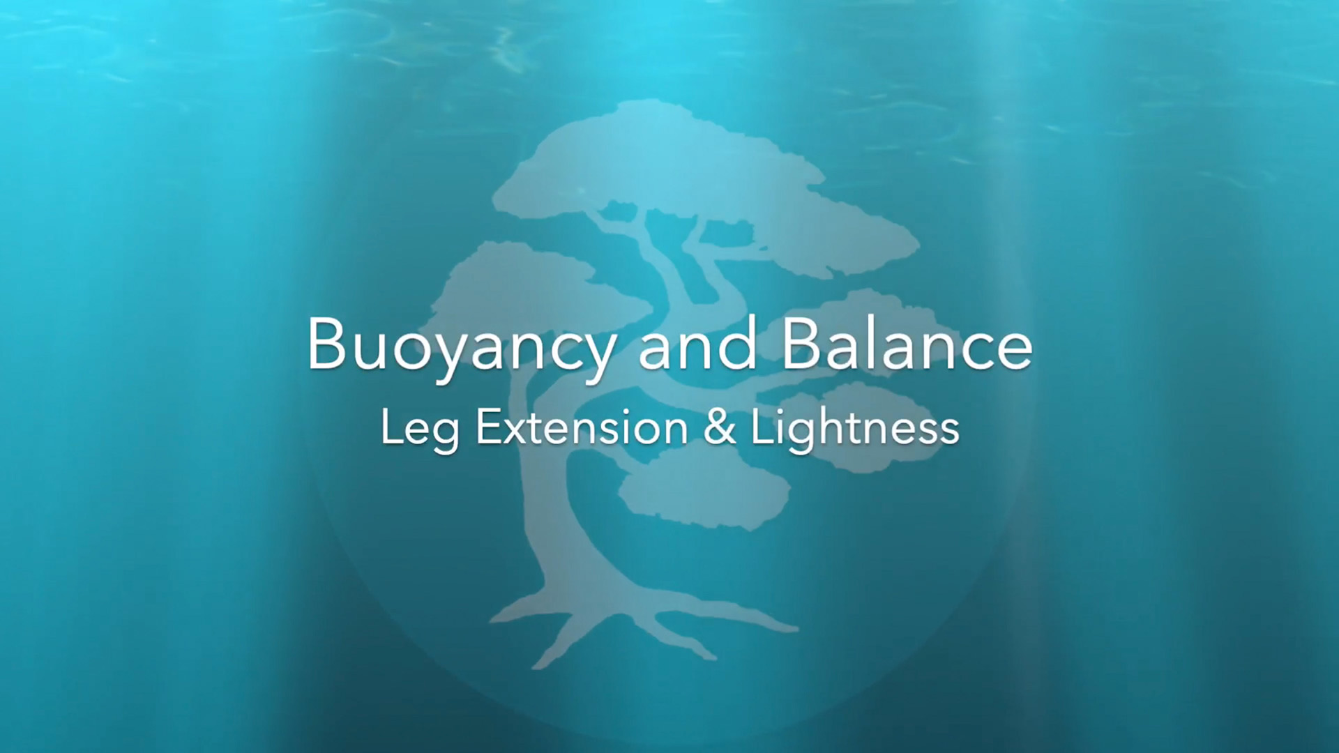 Buoyancy and Balance