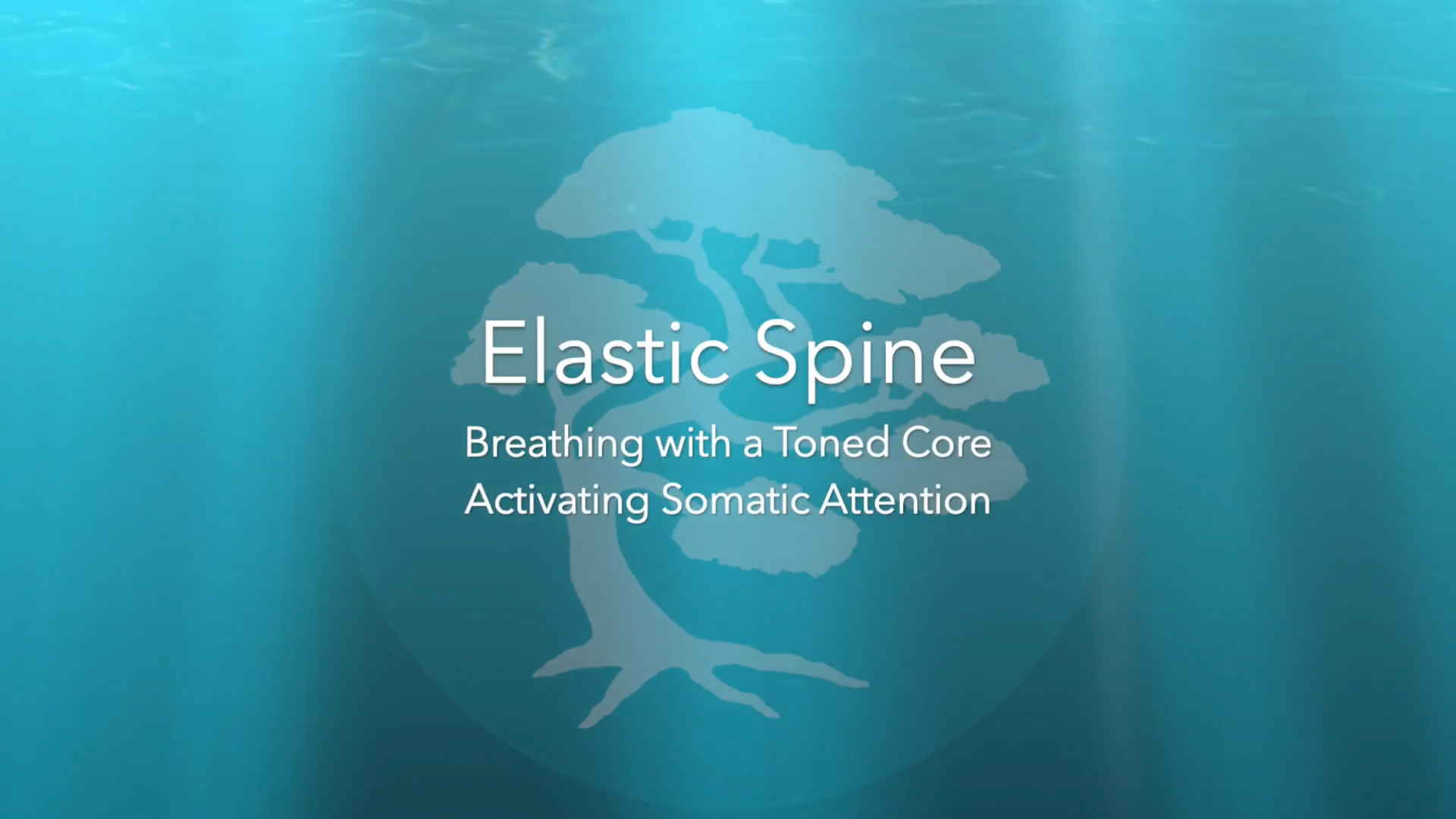 Elastic Spine