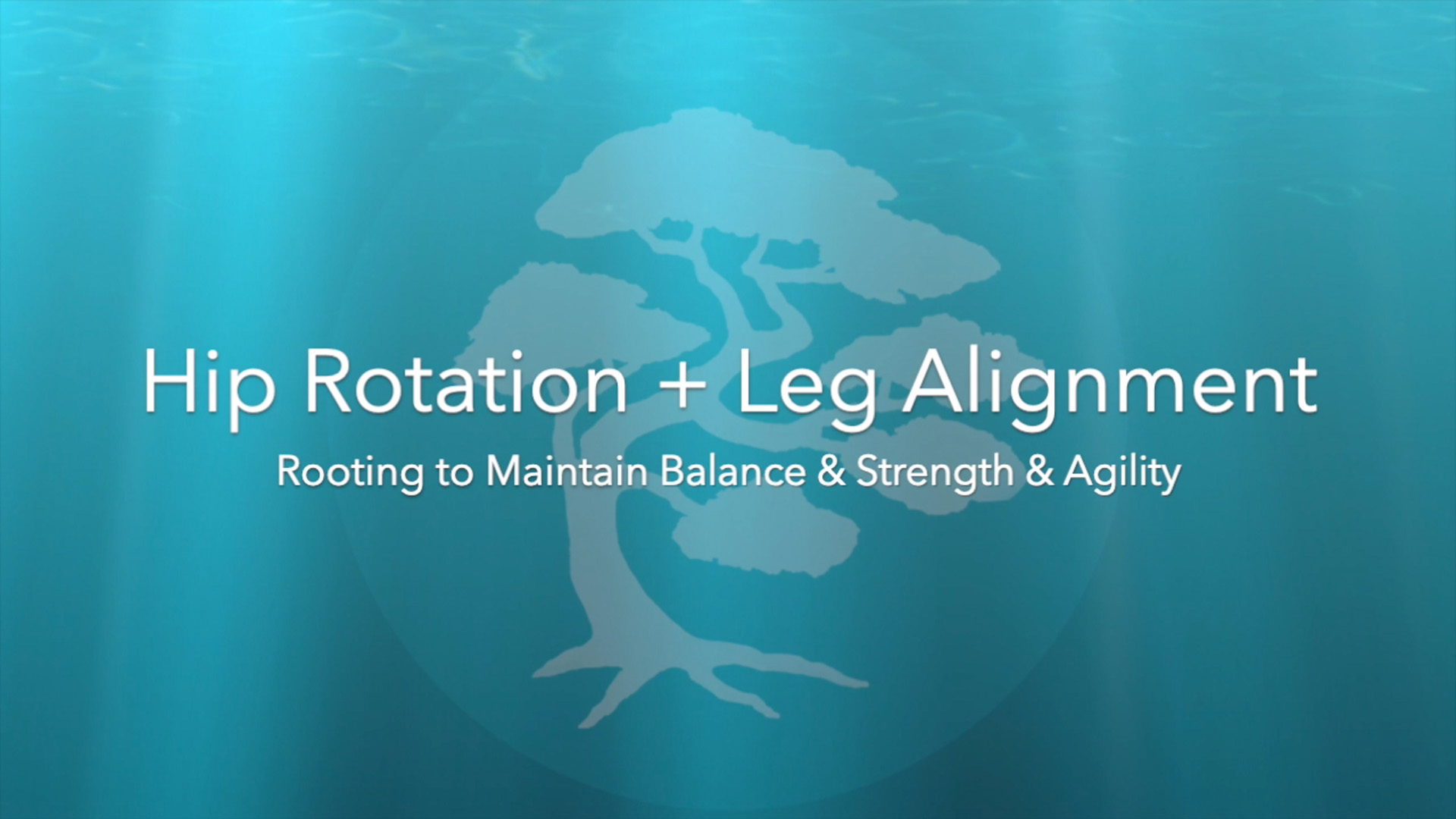 Hip Rotation and Leg Alignment