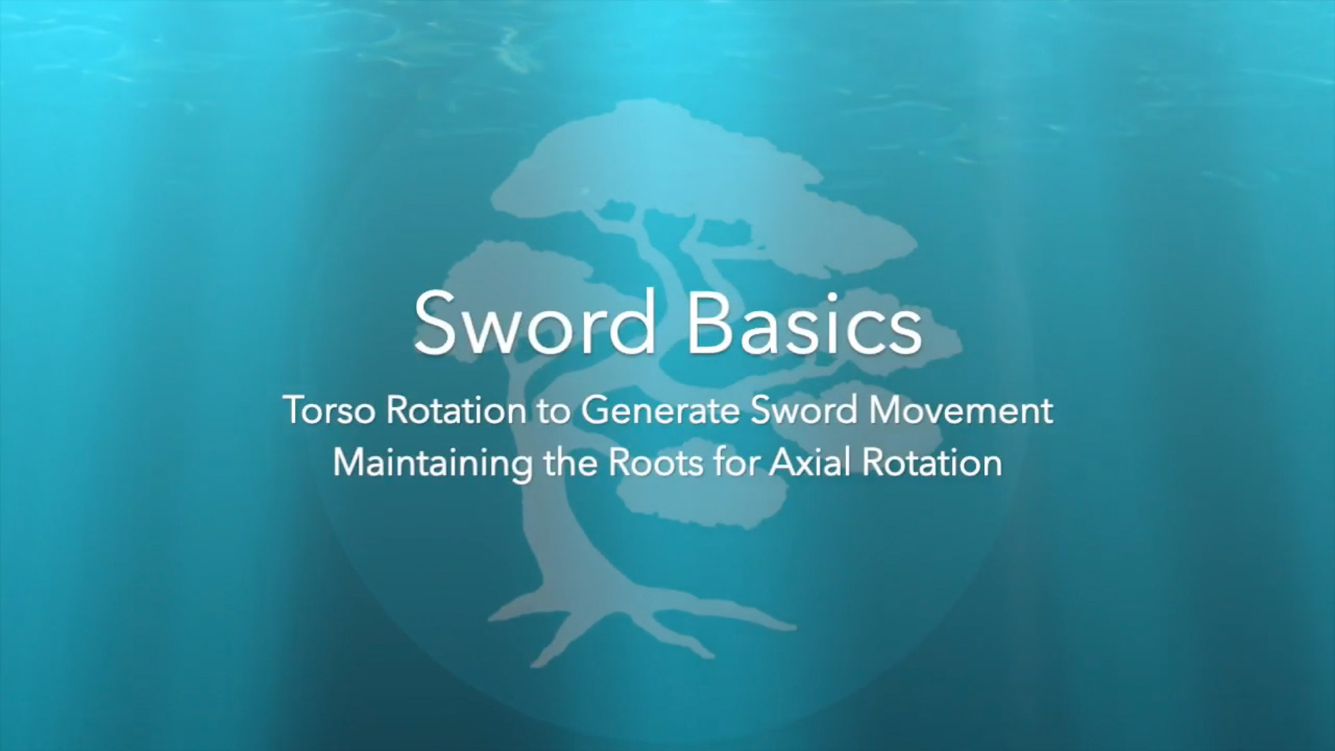 Sword Basics